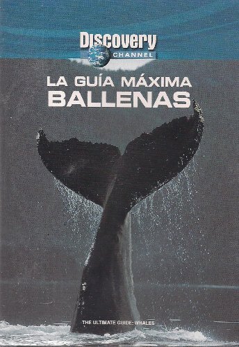 Amazon La Guia Maxima Ballenas The Ultimate Guide Whales