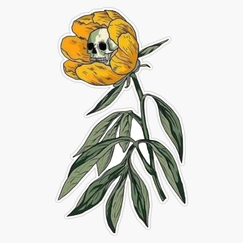 Amazon.com - skull in flower Sticker Bumper Sticker Vinyl Decal 5"
