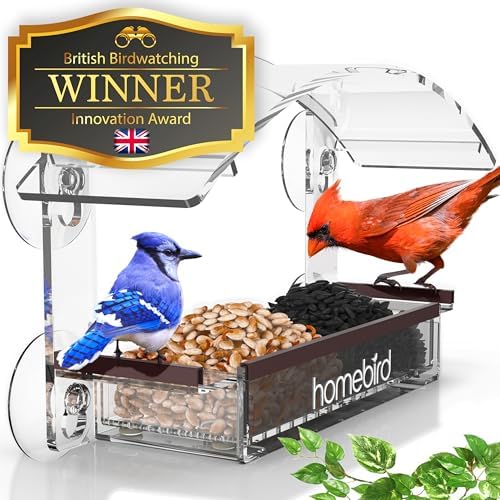 Amazon.com : Aspects (ASP155) Window Cafe Bird Feeder, Hopper Style ...