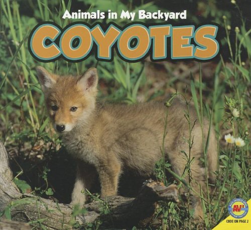 Coyotes (Animals in My Backyard): Jordan McGill: 9781619130005: Amazon ...