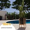 Amazon.com : Bees & Buds Plant Stands for Indoor Plants - Mid-Century ...