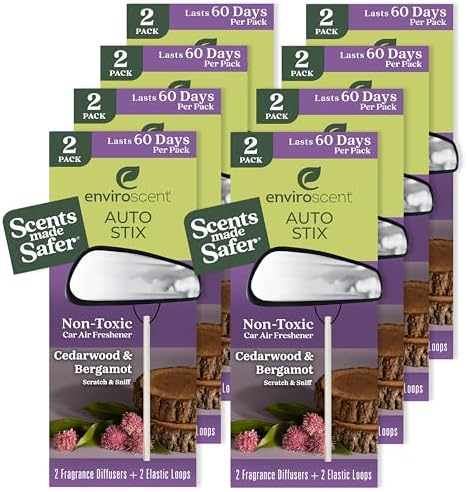 Amazon.com: Enviroscent Non-Toxic* Car Air Freshener Auto Stix ...