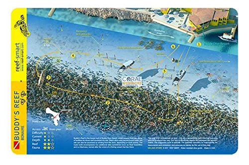 Buddy's Reef Bonaire Waterproof Dive Card: Reef Smart: 9781988818061 ...
