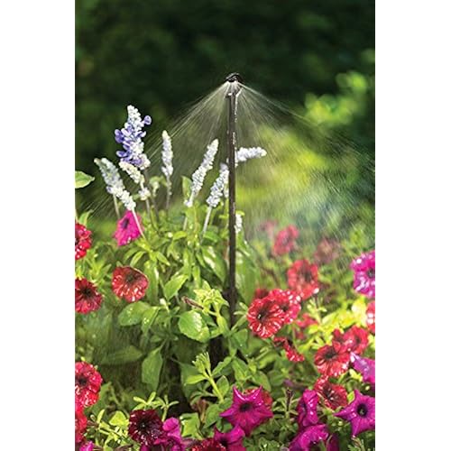 Snapklik.com : Rain Bird MSDSSTK Drip Irrigation Down Spray On Riser Stake