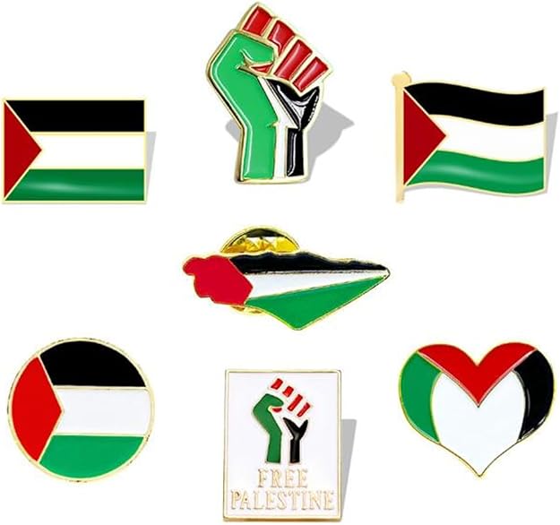 Amazon.com: zhanghaoran 7 Pieces Palestine Flag Lapel Pin Set ...