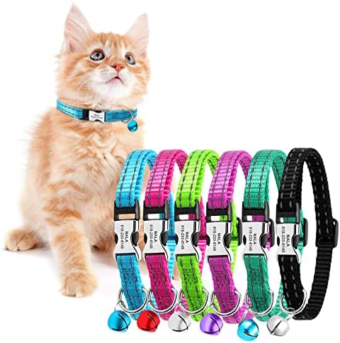 Pet Supplies : Personalized Reflective Cat Collar with Bell - Breakaway ...