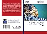 ・ブランド:LAP Lambert Academic Publishing・製造元:LAP LAMBERT Academic Publishing