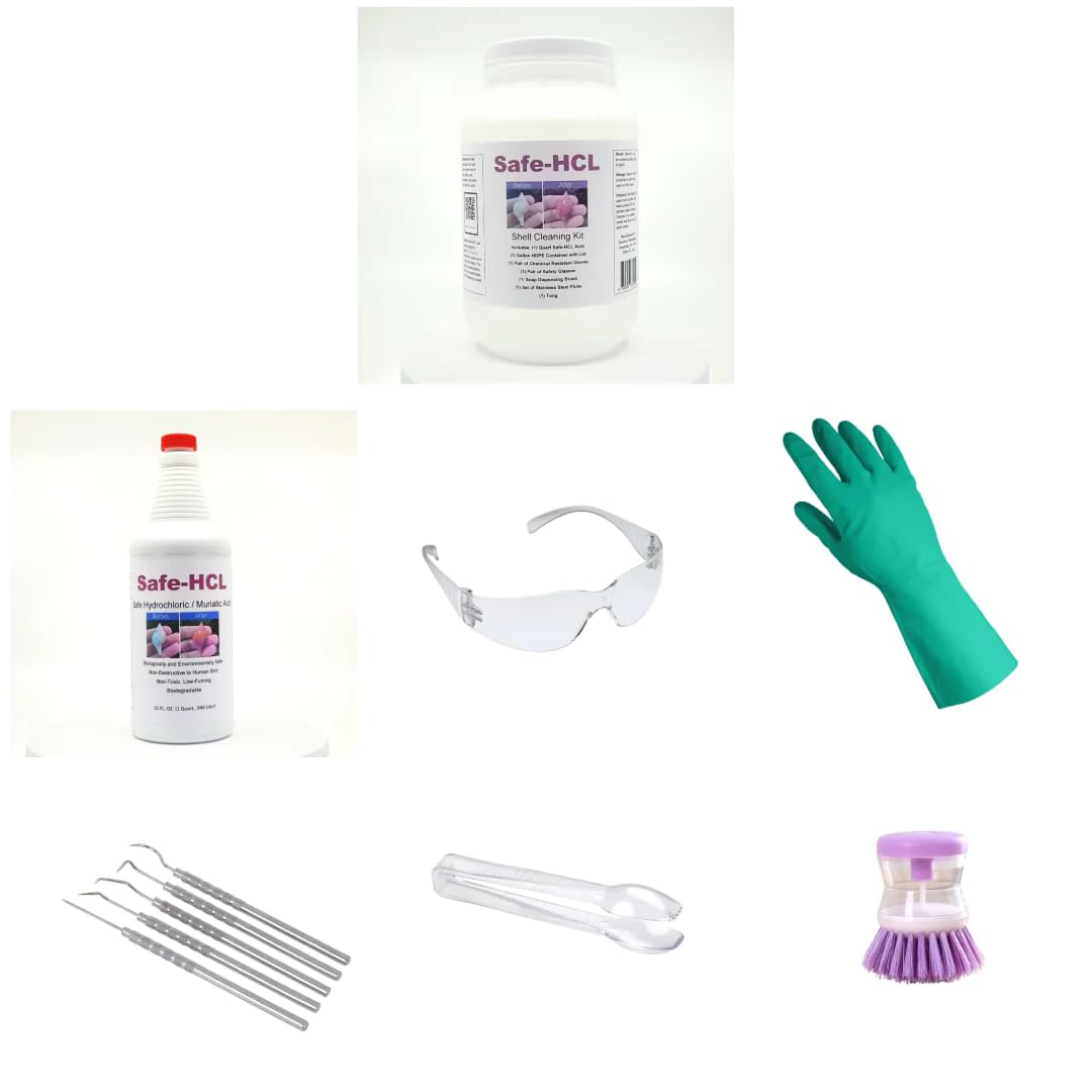 Safe-HCL Seashell Cleaning Kit - Includes: (1) Quart of Safe-HCL Acid ...