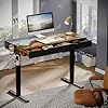Amazon.com: Bestier LED Electric Standing Desk with Double Drawers, 47 ...