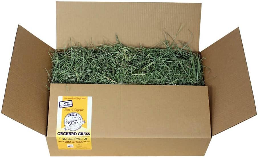 Amazon.com : Rabbit Hole Hay Ultra Premium, Hand Packed Medium Timothy ...