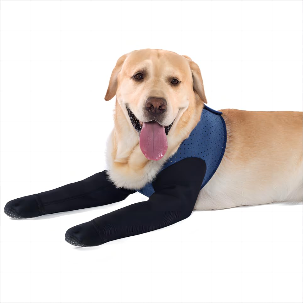 Snapklik.com : COODEO Dog Socks To Prevent Licking Paws, Dog Healing ...