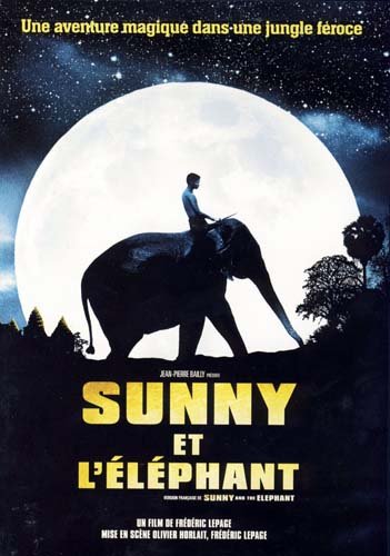 Amazon.com: Sunny et l'elephant (Sunny and the Elephant) : Keith Chin ...