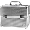 Creative Options Crafters Train Case, Silver 12 x 10 x 8.5 : Amazon.ca ...