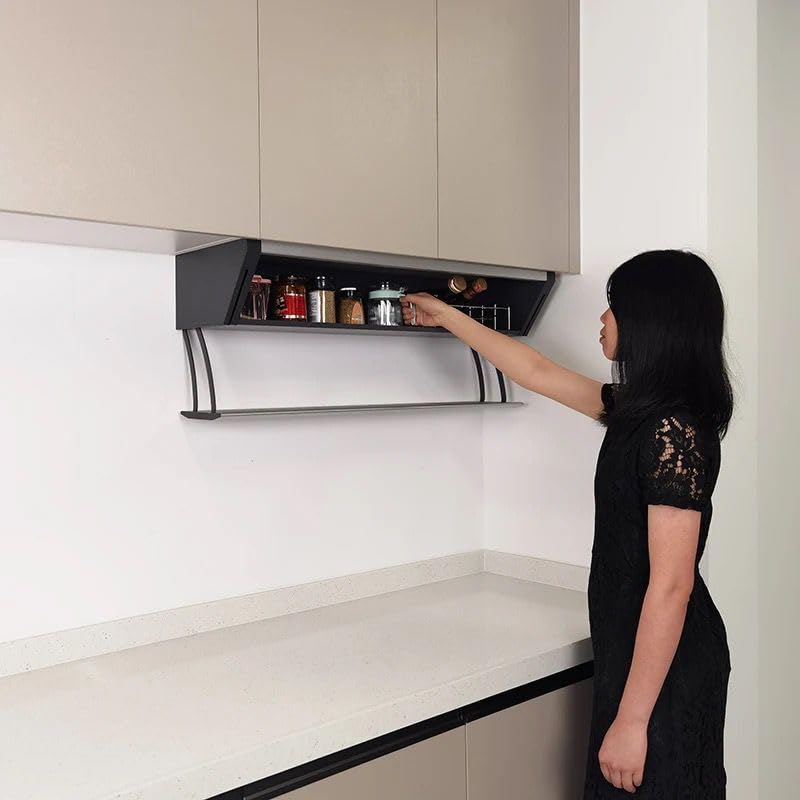 DBR Kitchen Cosario Spice Cabinet Storage Rack Unit 600 mm : Amazon.in ...