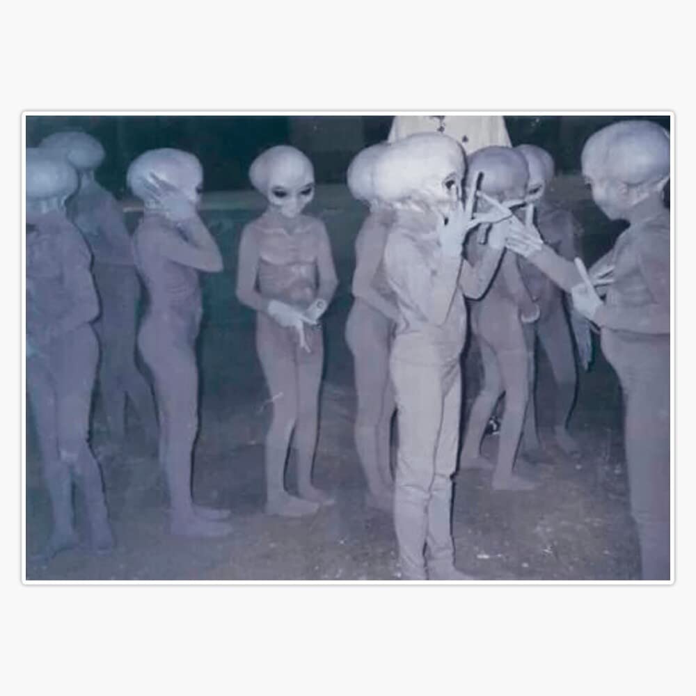 Amazon.com - Chilling with The Boys - Cursed Image #0020 | Cursed ...