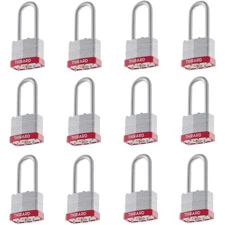 Amazon.com: Lion Locks 12 Keyed-Alike Padlocks w/ 2” Long Shackle, 24 ...