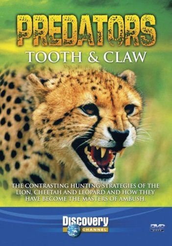 Predators - Tooth And Claw [Edizione: Regno Unito]: Amazon.it: Various ...