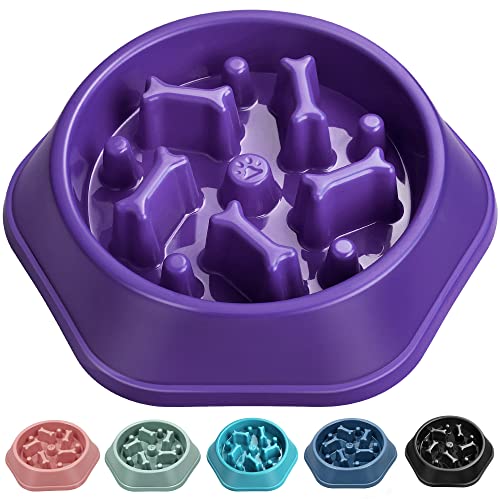 Purple Dogs – The 15 best products compared - Wild Explained