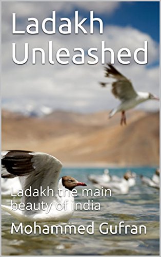 Unleashed Ladakh: Ladakh the main beauty of india eBook : Gufran ...