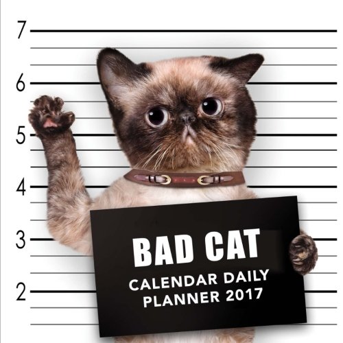 Bad Cat Calendar Daily Planner 2017: Press, Phactory: 9781541186538 ...