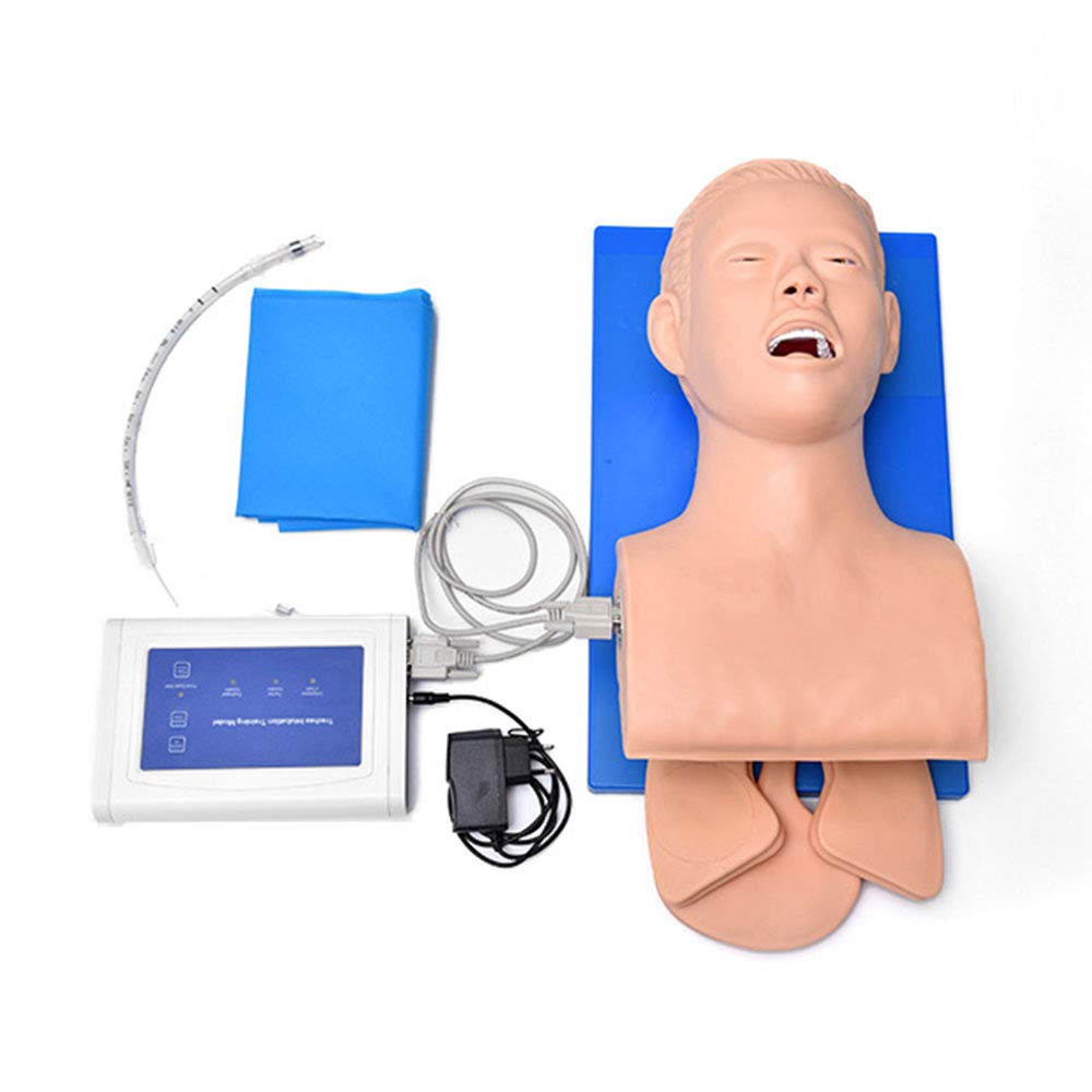 Buy N A Human Tracheal Intubation Training Model (with Alarm) Adult ...