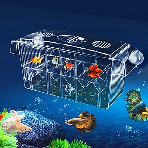 Fish Breeding Box,Acrylic Fish Isolation Box with Suction Cups ...