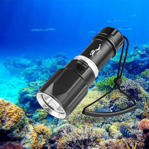 Amazon Los más vendidos: Mejor Linternas de Buceo