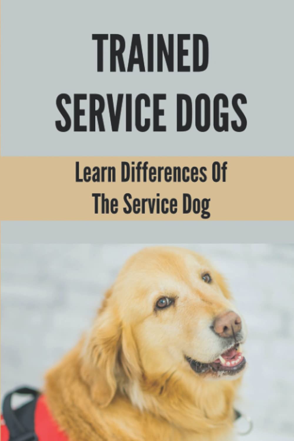 What Qualifies You To Have A Service Dog