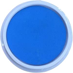 Amazon.com: Ink Pad Stamps Partner DIY Color,Round Fingerprint Ink Pad ...