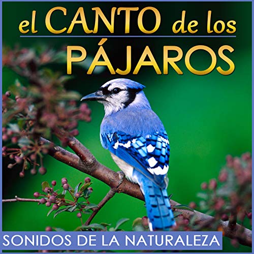 Amazon.com: El Canto de los Pajaros. Sonidos de la Naturaleza. : Nature ...