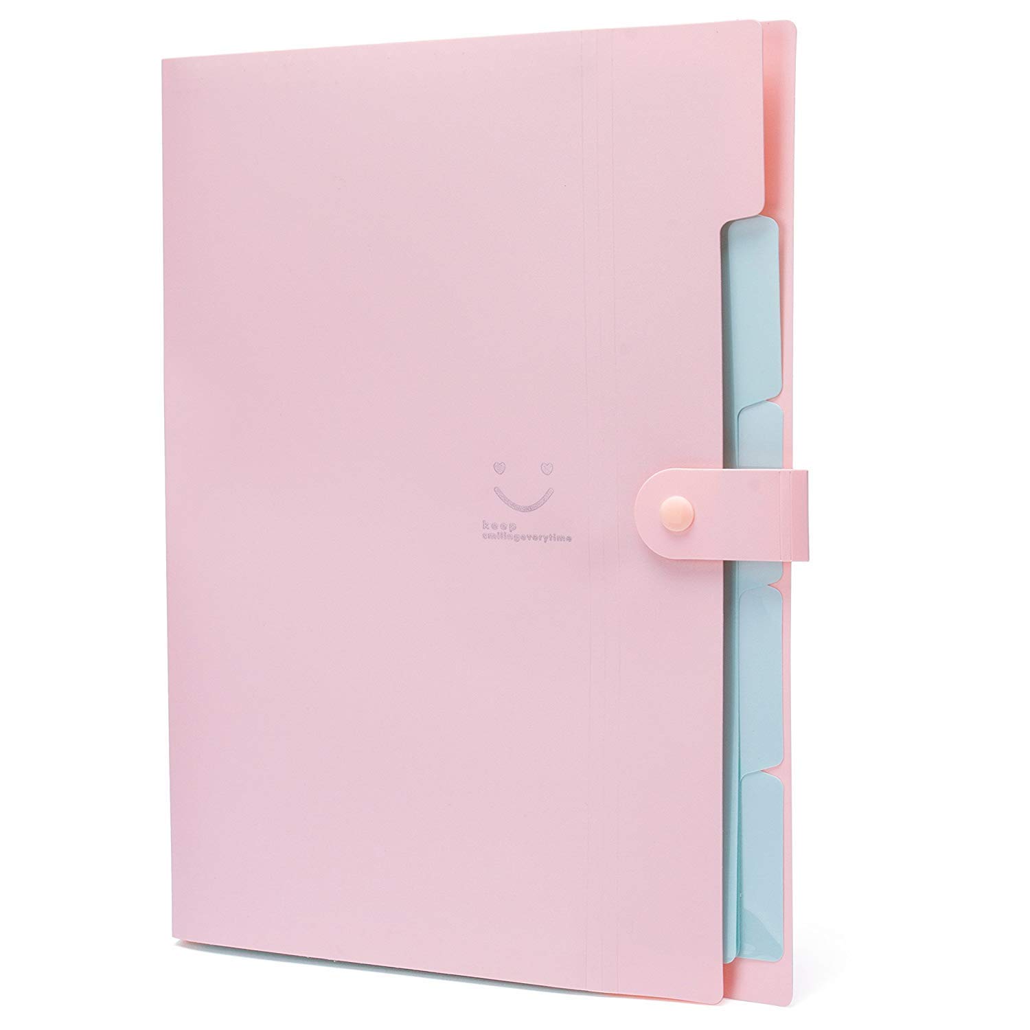 Expandable Portable Hand-Held Accordion File Document Folder Cute ...