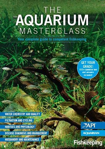 Amazon.in: Buy The Aquarium Masterclass: Your Complete Guide To ...