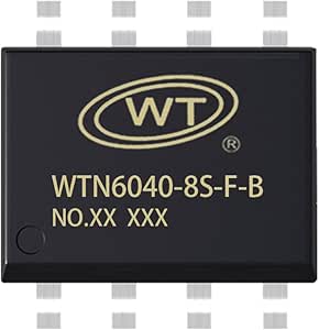 Amazon.com: WTN6040-8S-F-B,WTN6,Recordable Voice Sound Chip, 40s 8 Pin Music Chip,Programmable ...