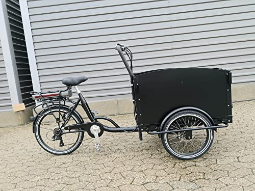 E-Lastenrad „E-Donkey“ Elektro Lastenrad E-Lastenfahrrad ...