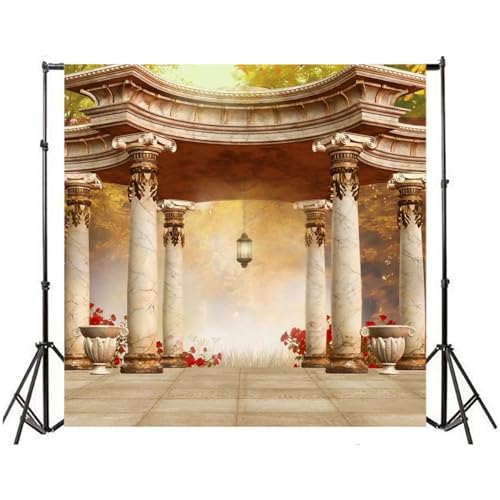 Buy AOFOTO 8x8ft Romantic Wedding Royal Gazebo Background Classic ...
