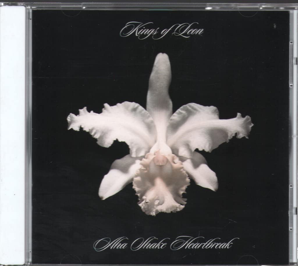 Aha Shake Heartbreak: Amazon.co.uk: CDs & Vinyl