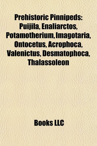 Prehistoric Pinnipeds: Puijila, Enaliarctos, Potamotherium, Imagotaria ...