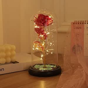 TAGNEFLOR Rosa Bella y Bestia Rosa Eterna, Flores Artificiales con Luces LED,Regalos para Mujer ...
