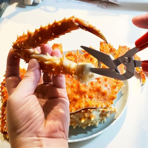 Snapklik.com : Japanese Crab Scissors Heavy Duty 6.7, Made In JAPAN ...