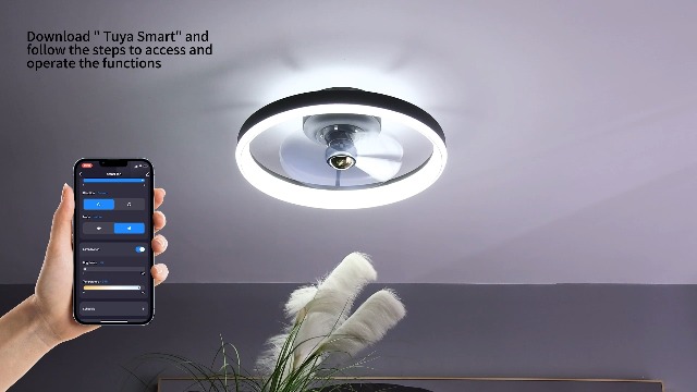 Watch Smart ceiling fan with light 19 inch on Amazon Live