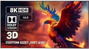 Amazon.com: Phoenix Screens - Ultra Thin Fixed Frame Screen - PET ...