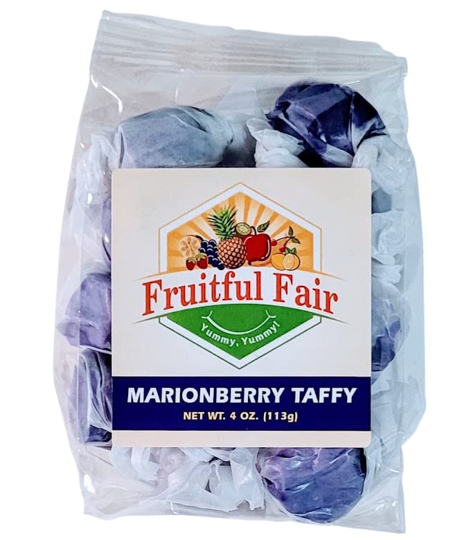 Amazon.com : Saltwater Taffy Soft Chewy Candy by Fruitful Fair ...