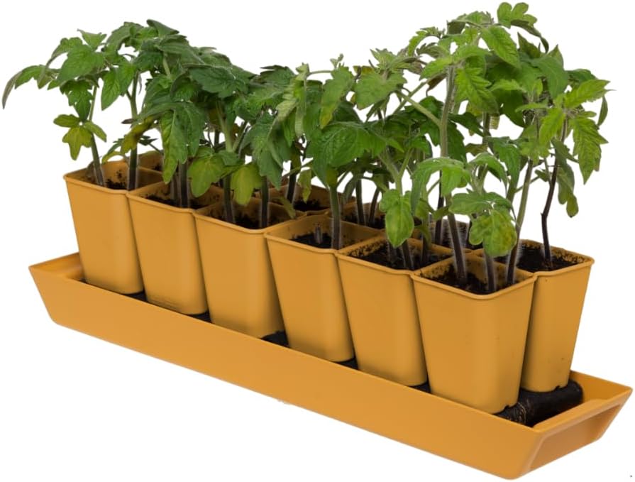 Amazon.com : Gardener's Supply Company Gardener's Best® XL Seed ...