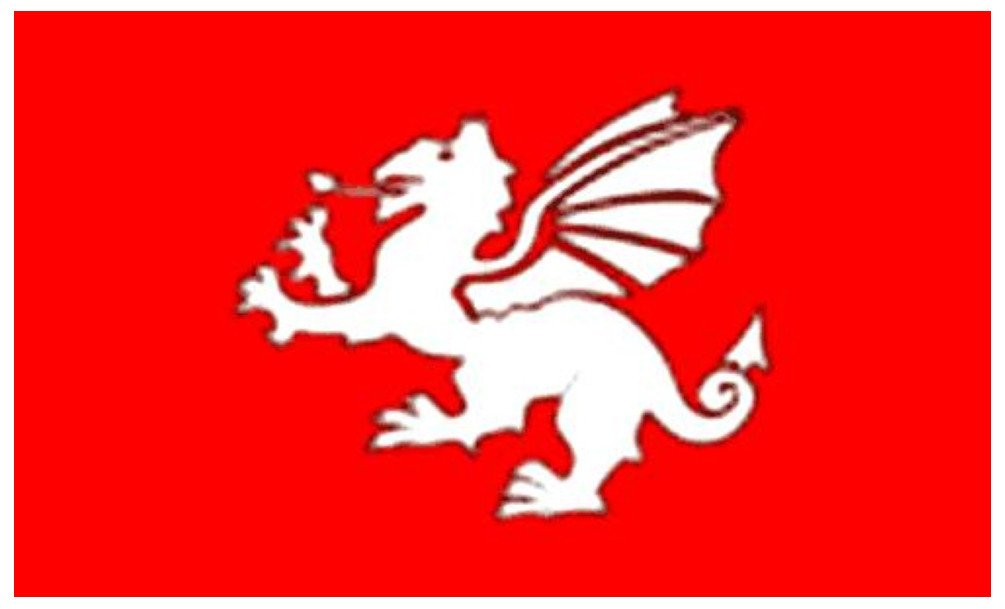 English White Dragon Flag 5ft x 3ft : Amazon.co.uk: Garden