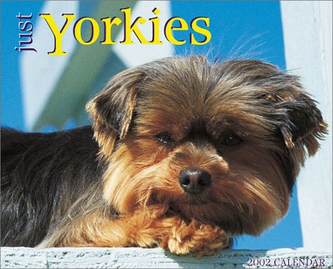 Just Yorkies 2002 Calendar: unknown author: 9781572234680: Amazon.com ...