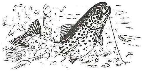 Amazon.com: Rubber Stamp: Trout : Handmade Products