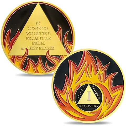 1 Year Sobriety Coin Flames Sobriety Chip One Year AA Coins and ...