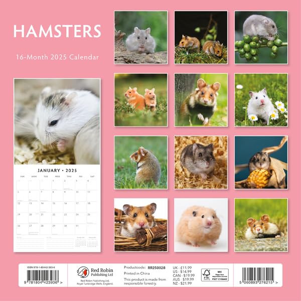 Hamsters – 2025 Square Wall Calendar – by Red Robin Publishing – BigaMart