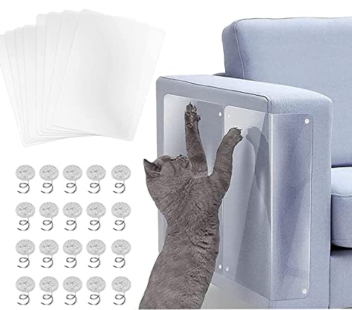 Amazon.ca Les meilleures ventes: Les articles les plus populaires dans ...