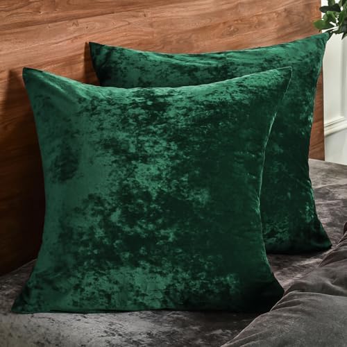 Amazon.com: PHF Super Soft Velvet Throw Pillow Covers, 24"x24", No ...